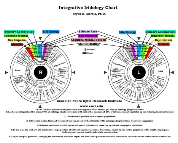 iridology chart - MAIKONG iridology camera | iriscope camera | iriscope